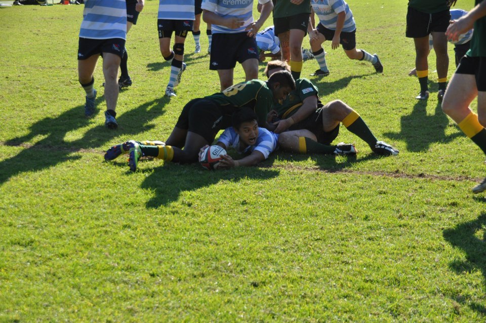 Lindfield Rugby Club